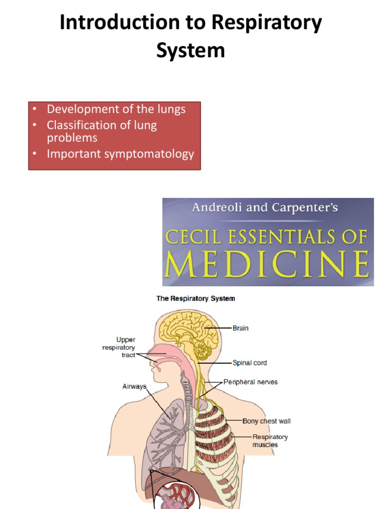 A Comprehensive Guide to the Classification, Symptomatology, and ...
