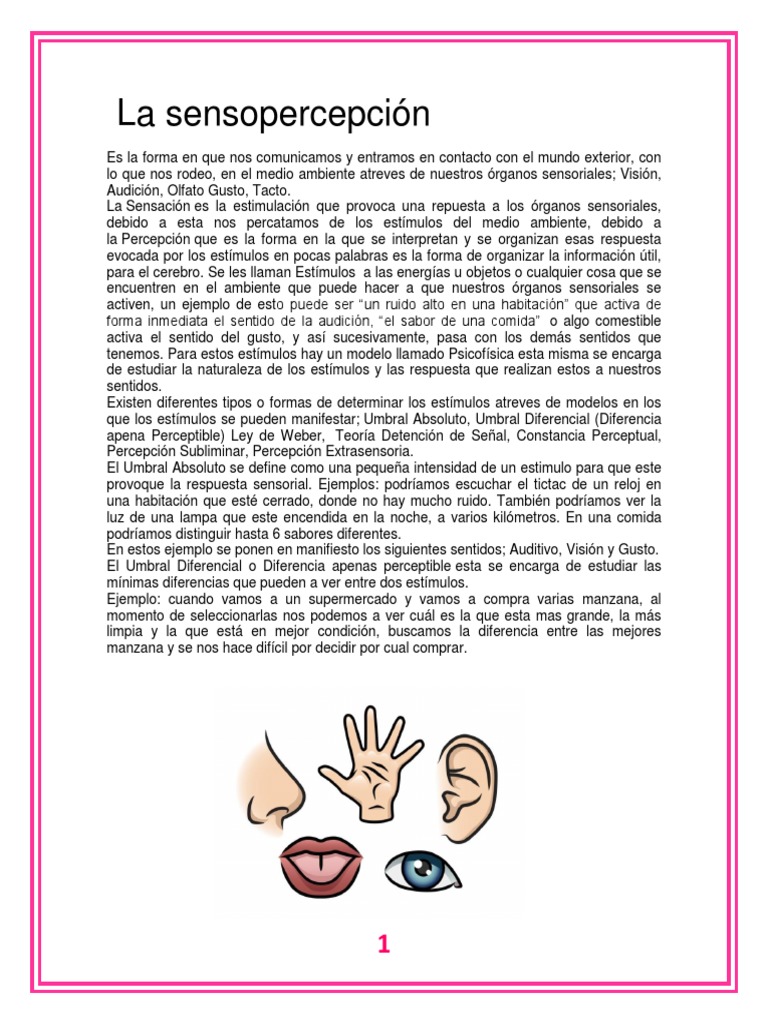 Sensopercepcion | Descargar gratis PDF | Percepción | Sonido