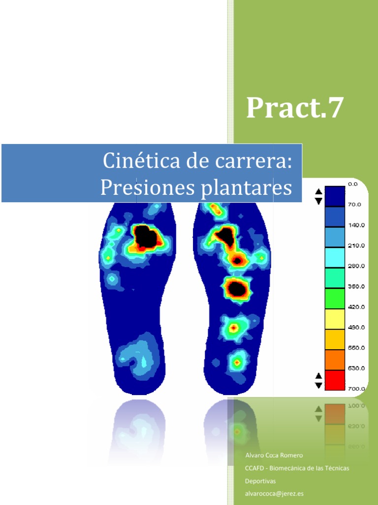 Presiones Plantares | PDF | Pie | Anatomía de los primates