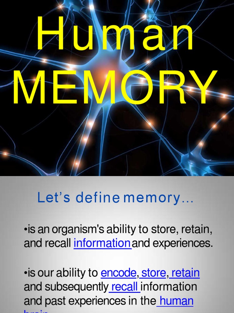 Understanding Human Memory Types | PDF | Recall (Memory) | Memory