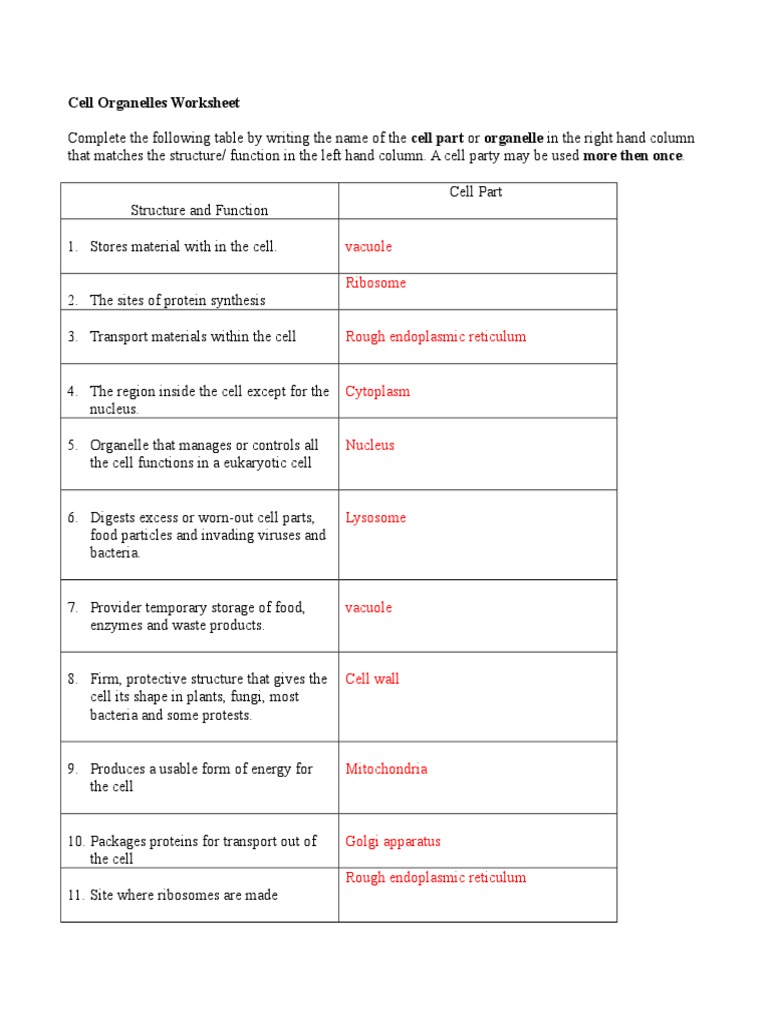 Cell Organelles Worksheet and Answers | PDF | Eukaryotes | Cell (Biology)