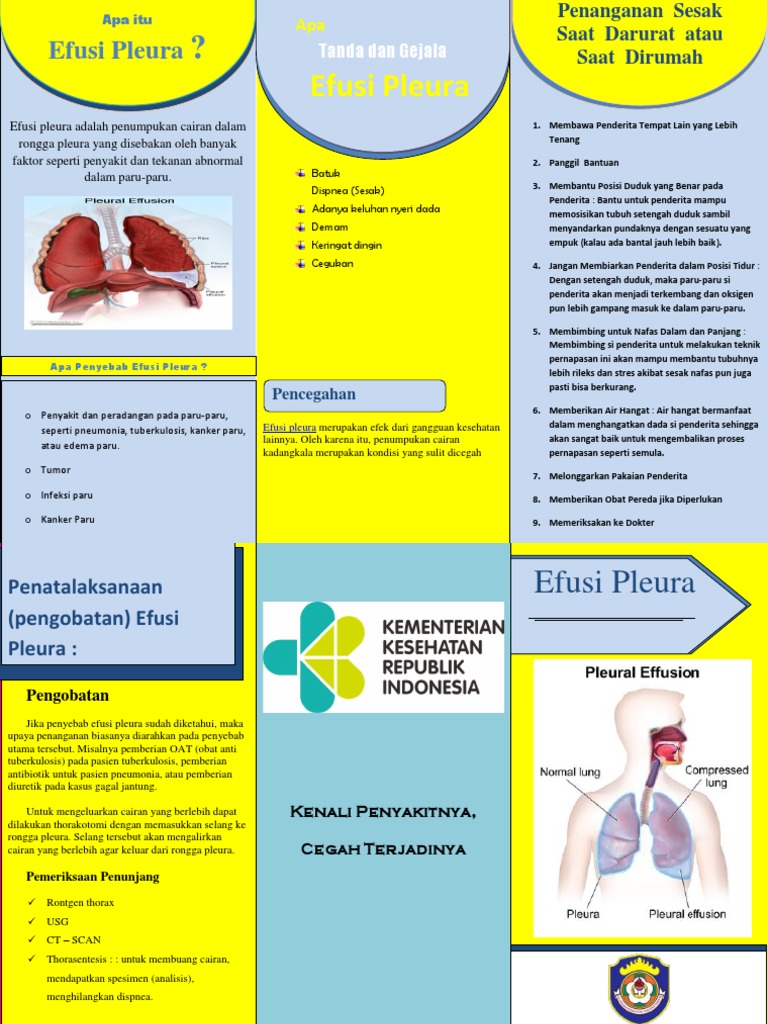 Leaflet Efusi Pleura | PDF