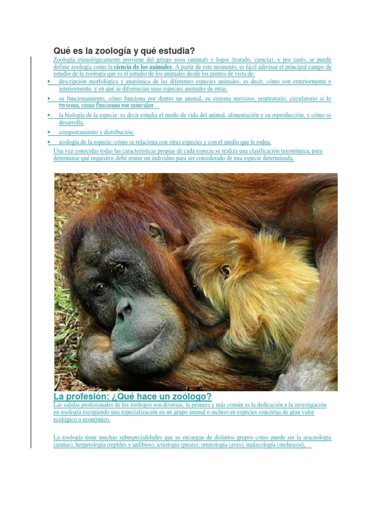 Definición y campo de la zoología | PDF | Biología | Zoología