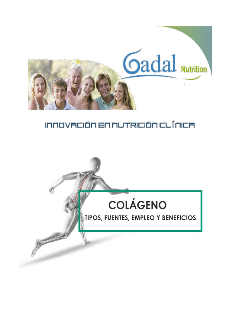 Gadavit Nutrition | PDF | Colágeno | Proteínas