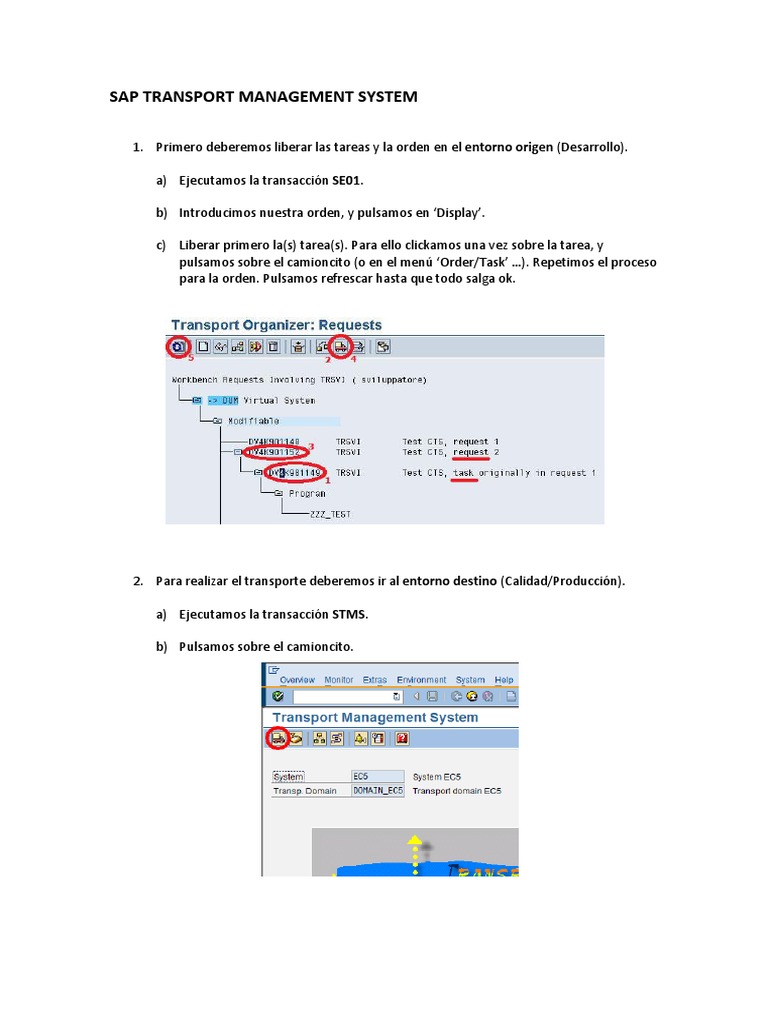 Cómo Realizar Un Transporte (STMS) | PDF