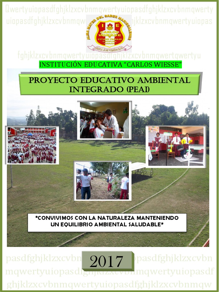 Proyecto Educativo Ambiental Integrado - 2017 | Desarrollo sostenible ...