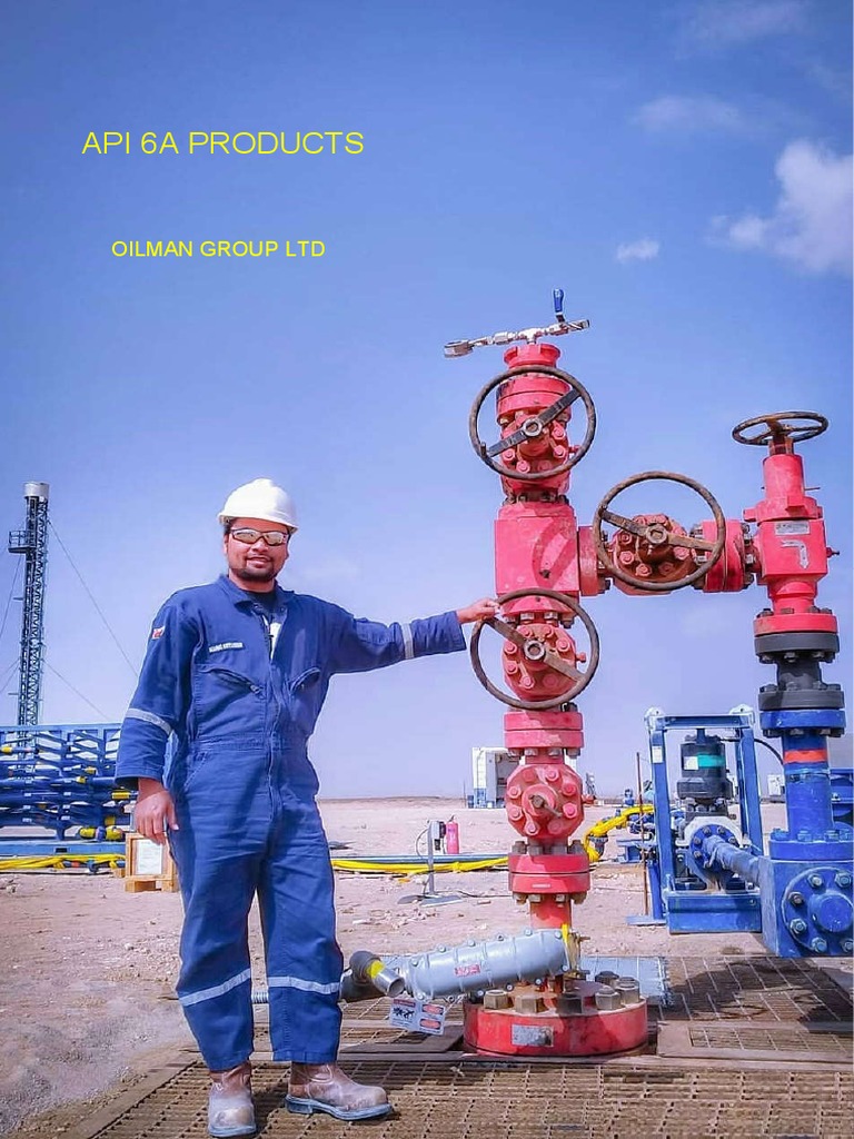 API 6A Products | PDF | Valve | Casing (Borehole)