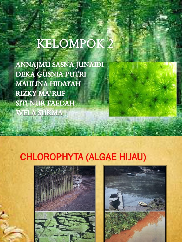 Alga Hijau | PDF