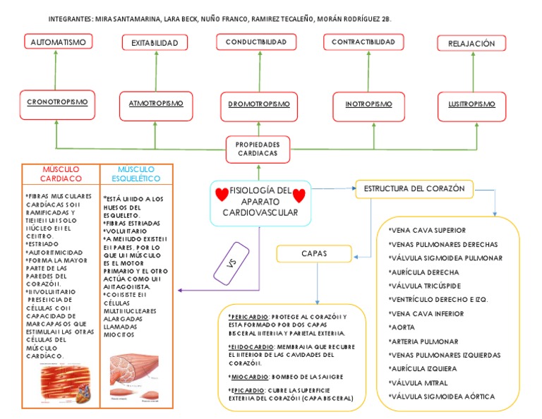 Mapa Corazón | Corazón | Músculo | Prueba gratuita de 30 días | Scribd