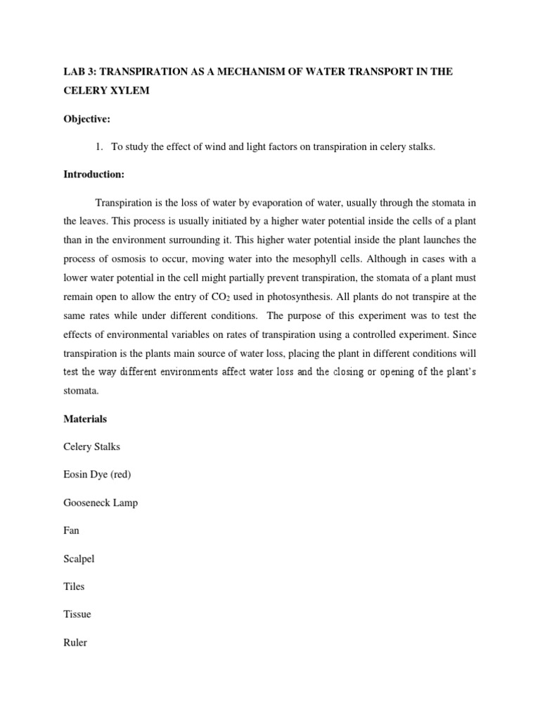 Lab 3: Transpiration As A Mechanism of Water Transport in The Celery ...