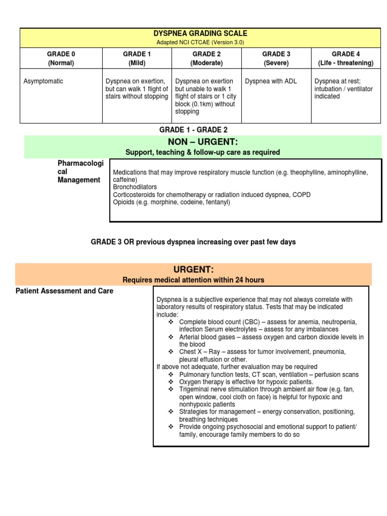 Dyspnea Grading Scale | PDF | Respiratory System | Breathing
