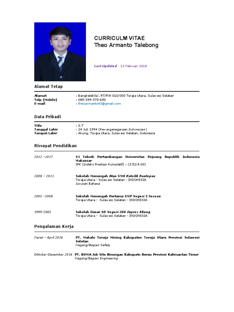 Curriculum Vitae Theo | PDF