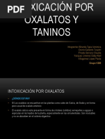 Abomasitis Micotica | PDF | Estómago | Úlcera péptica