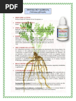 Taflavix - PLM | PDF