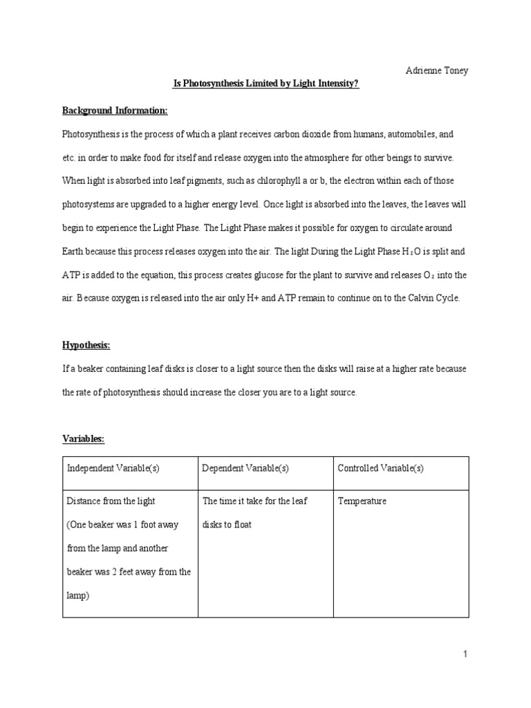 Leaf Disk Lab Report | PDF | Photosynthesis | Chemistry