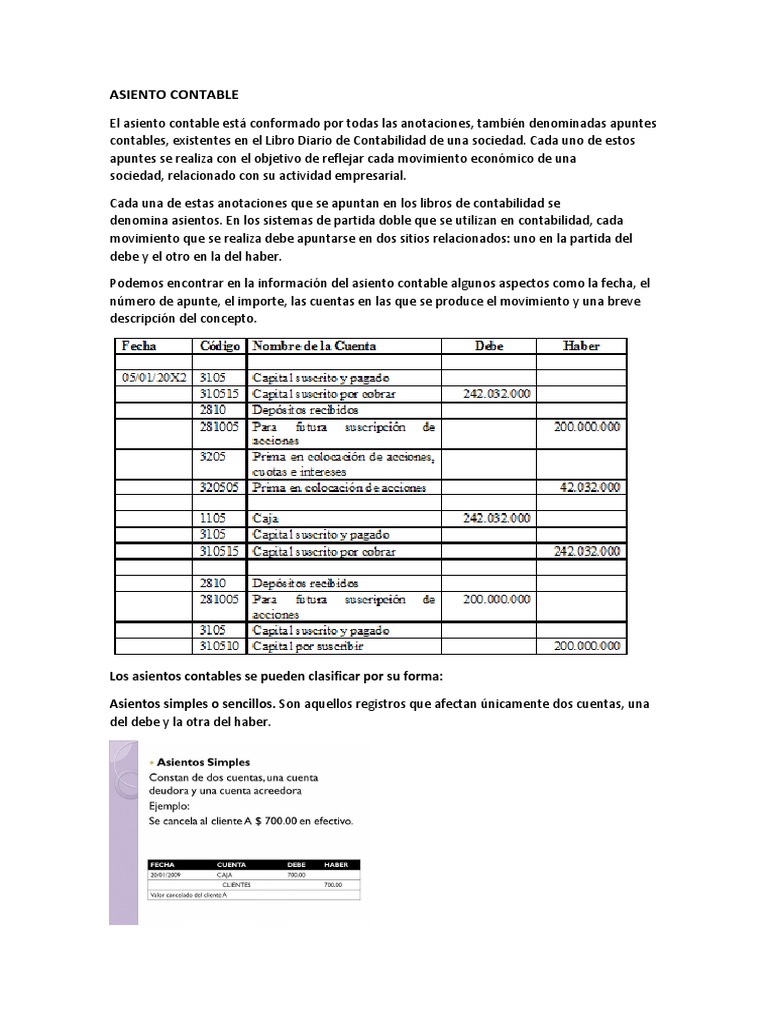Tipos y Estructura de Asientos Contables | PDF | Estado financiero ...