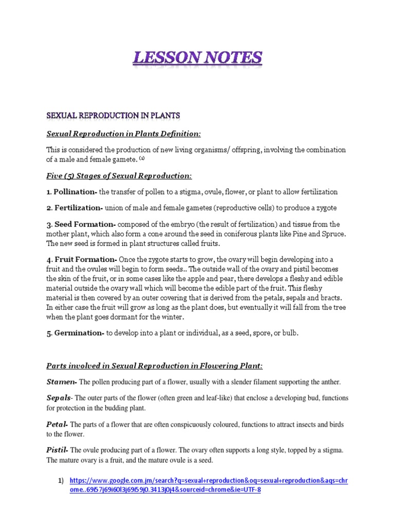 Lesson Notes - Integrated Science | PDF | Fruit | Plant Reproduction
