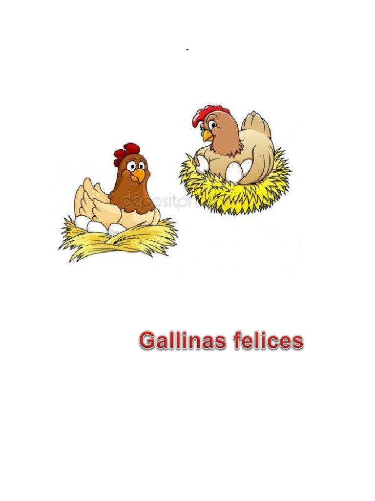 Gallinas Felices | PDF | Aves | Huevo como alimento