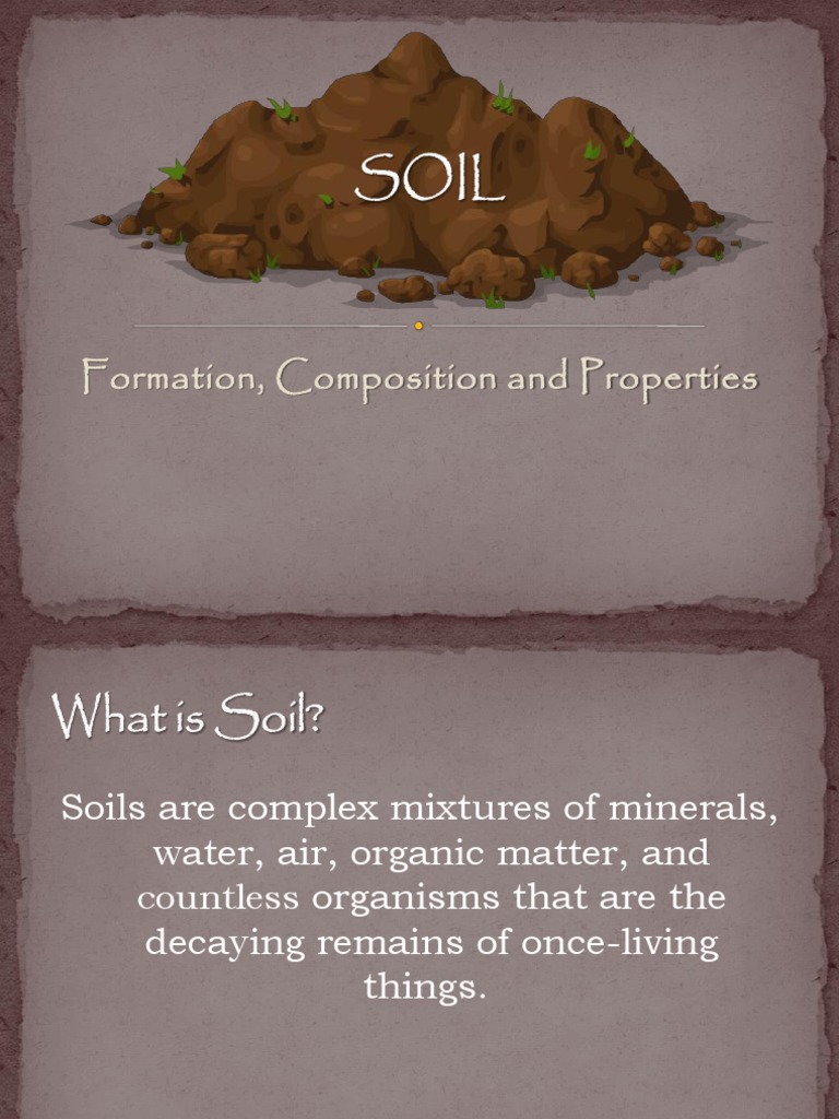 Formation, Composition and Properties | PDF | Organic Matter | Soil