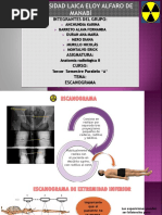 Signo del Perrito Escocés en Radiología | PDF | Vértebra | Medicina