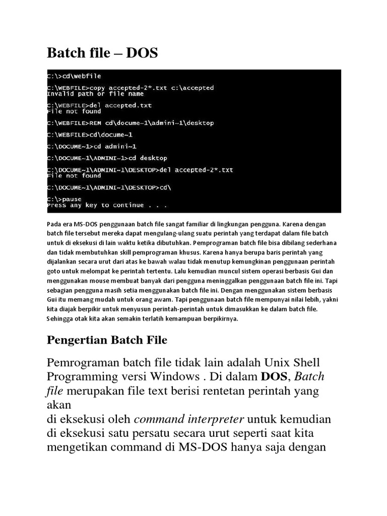 Batch File | PDF