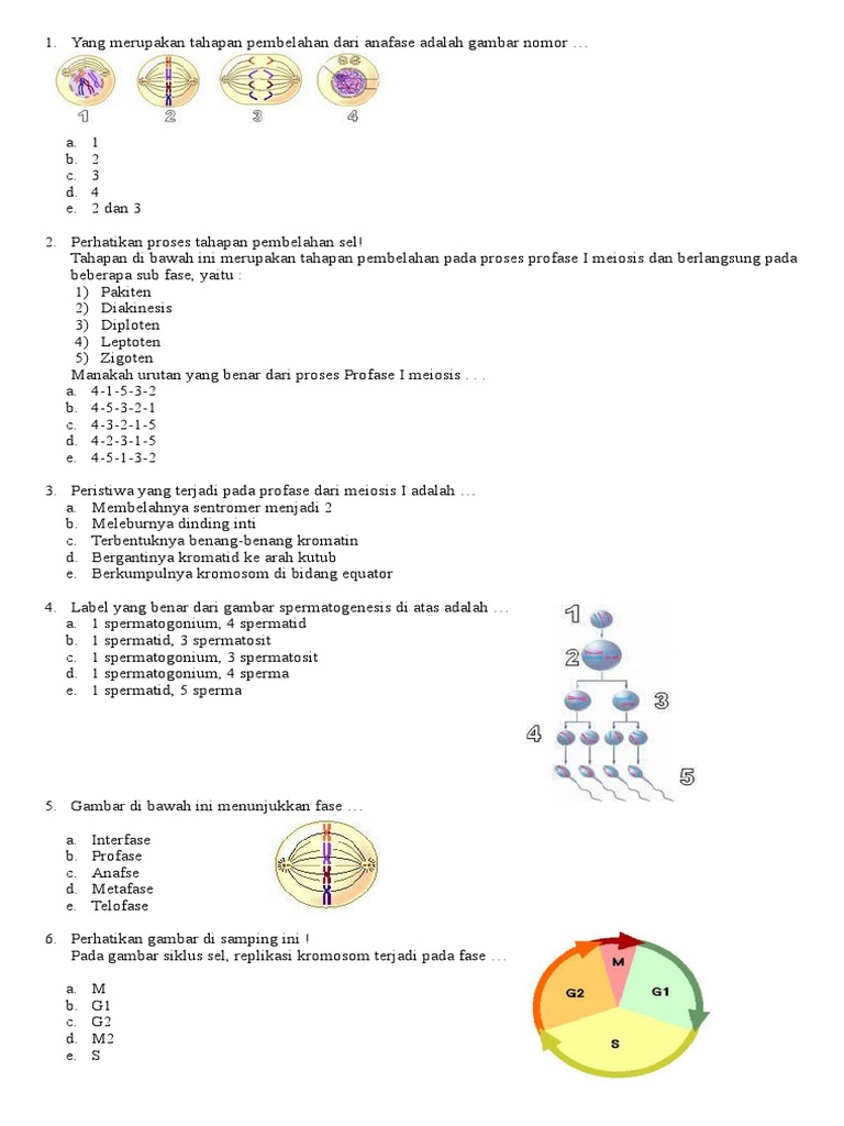 Soal Pembelahan Sel | PDF