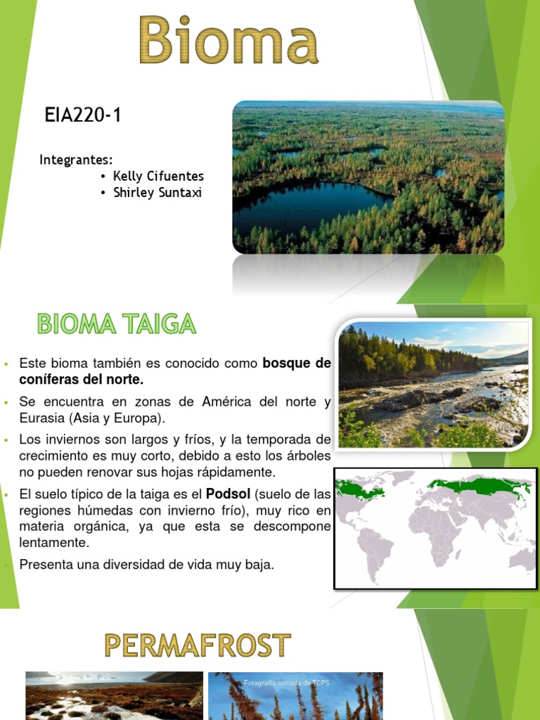 Bioma Taiga | Entorno natural | Ciencias de la tierra y de la vida