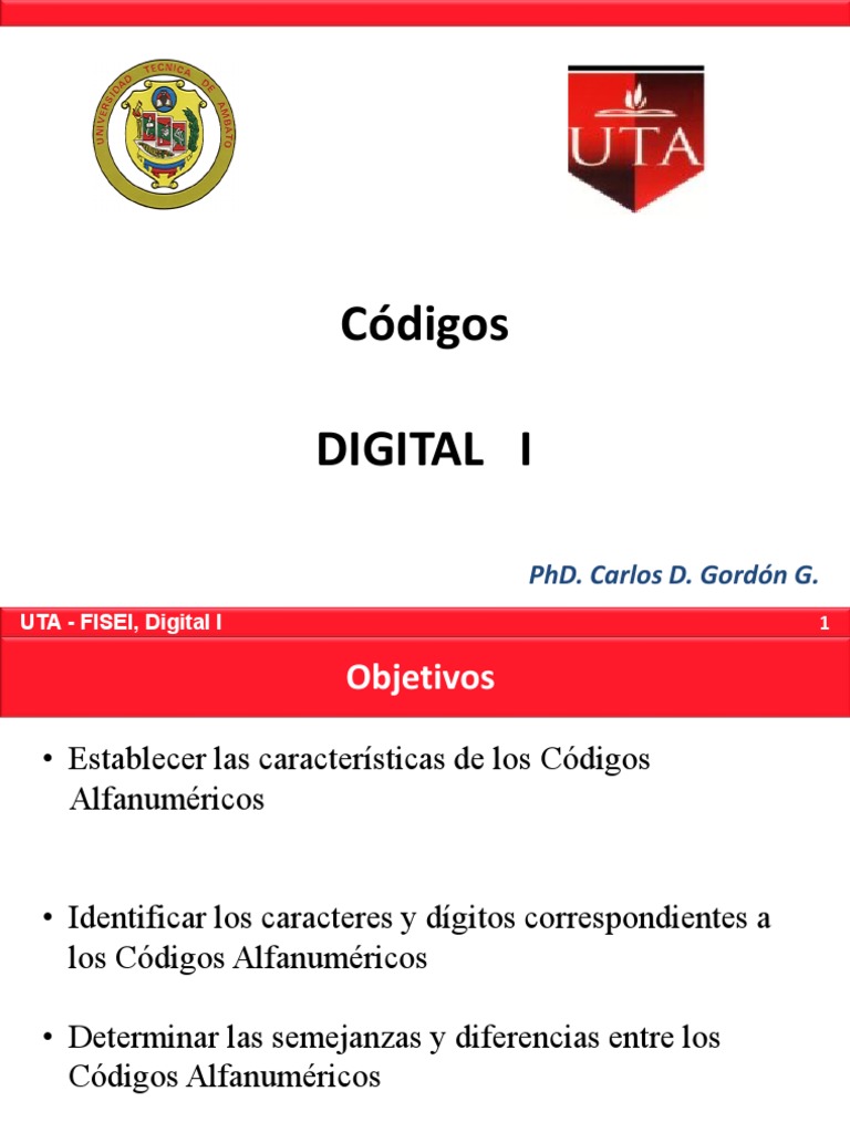 An Overview of Alphanumeric Codes: Characteristics, Examples, and ...