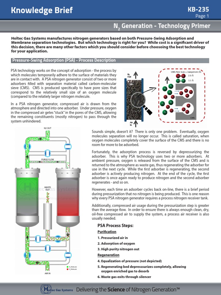 N2 Membrane Vs PSA | PDF | Adsorption | Energy Technology