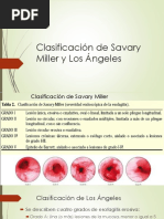 Clasificacion de Los Angeles de Esofagitis PDF | PDF ...