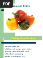 (PDF) Layers Feeding Guide, Growth & Weight Chart - Livestocking | PDF ...