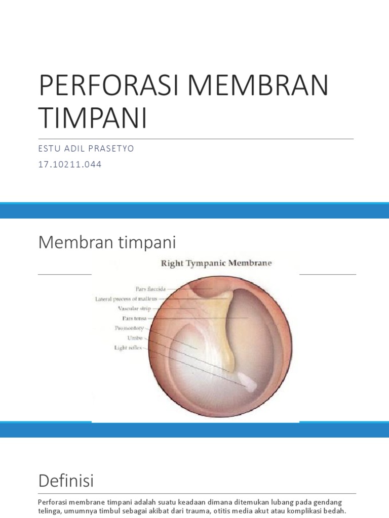 Perforasi Membran Timpani: Definisi dan Klasifikasi | PDF