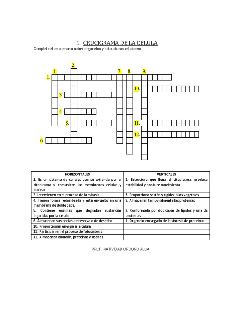 Hoja De Trabajo Sobre La Función De Los Organelos, Respuestas