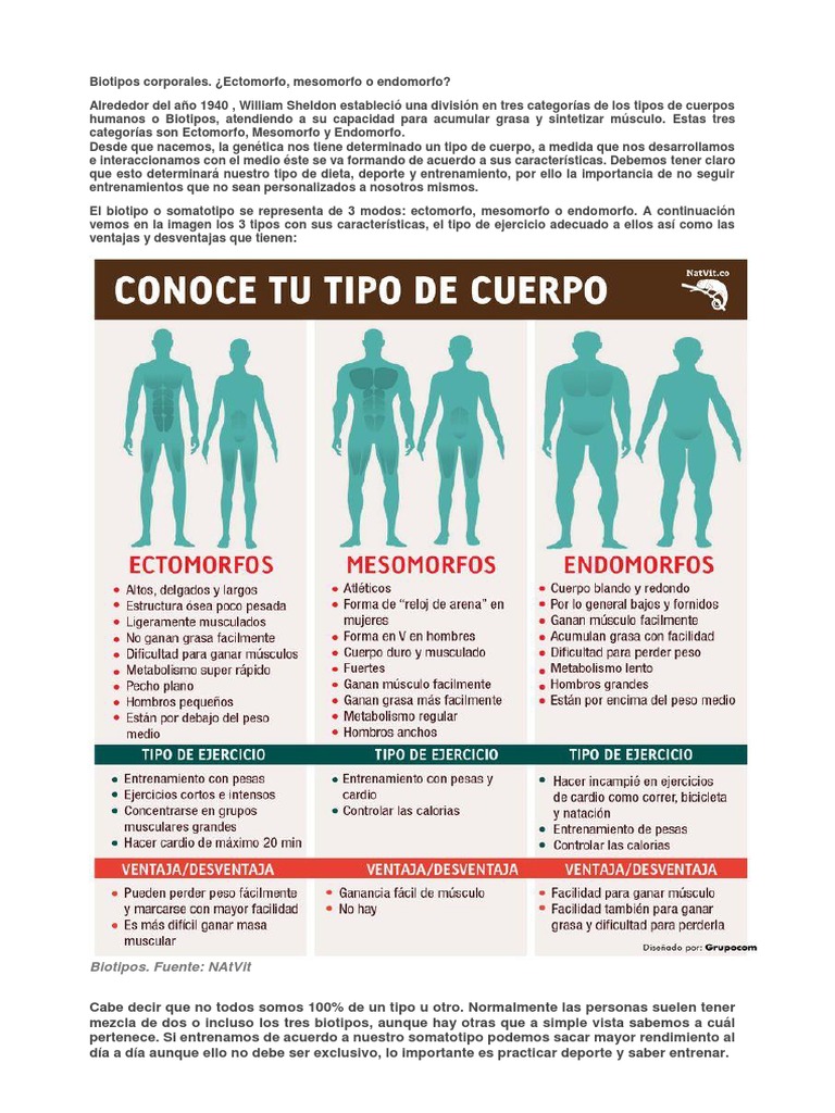 Biotipos Corporales | PDF