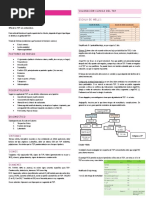 Programa B15 - (Imprimible) 2024-1 | PDF | Alimentos