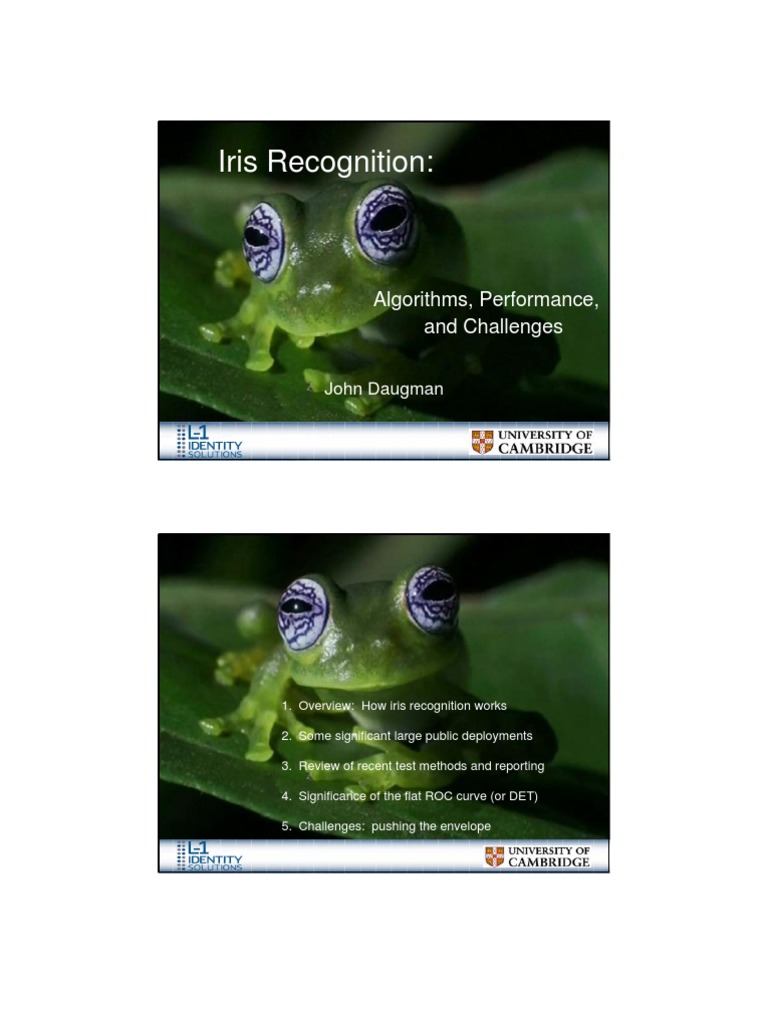 Iris Recognition:: Algorithms, Performance, and Challenges | PDF