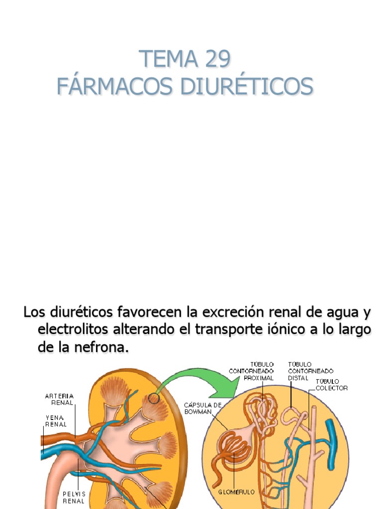 tema 2. diuréticos.pdf | Farmacología | Medicina CLINICA