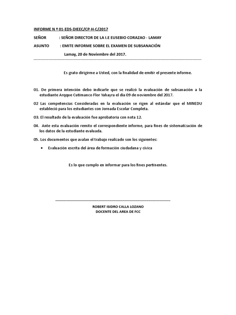 Informe de Subsanacion | PDF