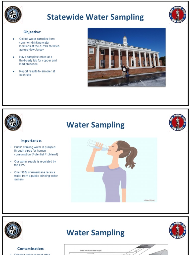 Dmava Presentation | PDF