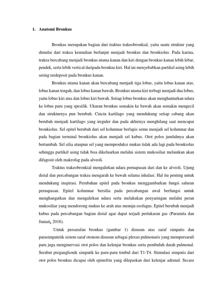 Anatomi Bronkus | PDF