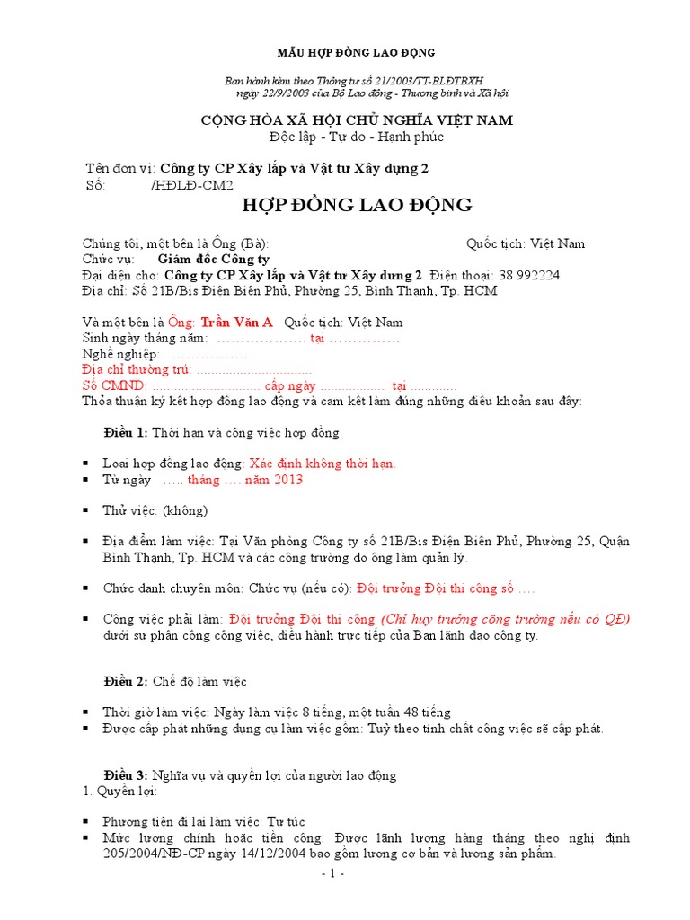 2 - Mau Hop Dong Lao Dong | PDF