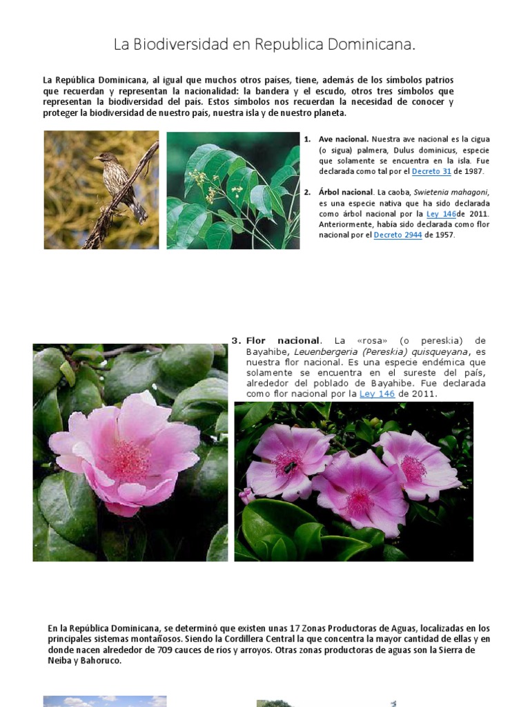 Biodiversidad y símbolos de RD | PDF | Turismo | Entorno natural