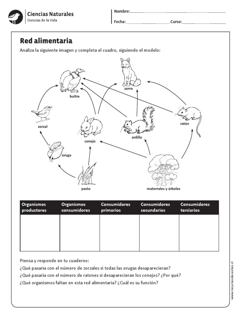 Red Alimenticia 4 Basico | PDF
