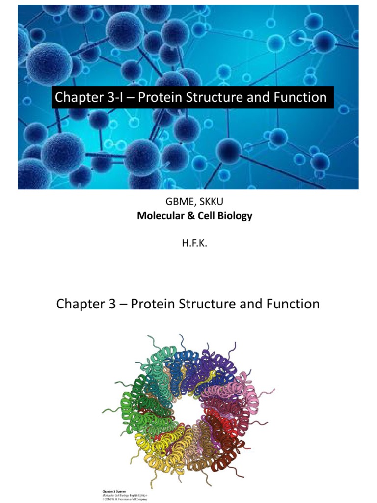 Chapter 3-I - Protein Structure and Function: Molecular & Cell Biology ...