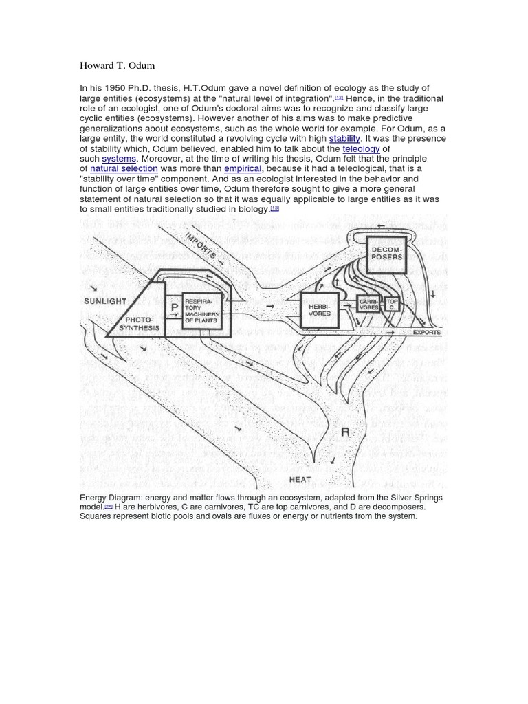 Howard T. Odum: Stability Teleology Systems Natural Selection Empirical ...