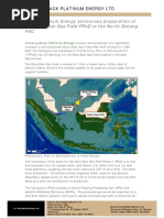 PETRONAS Group of Companies 2019 | PDF | Natural Gas | Energy Industry