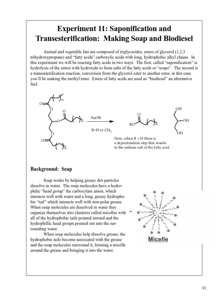 Experiment 11: Saponification and Transesterification: Making Soap and ...