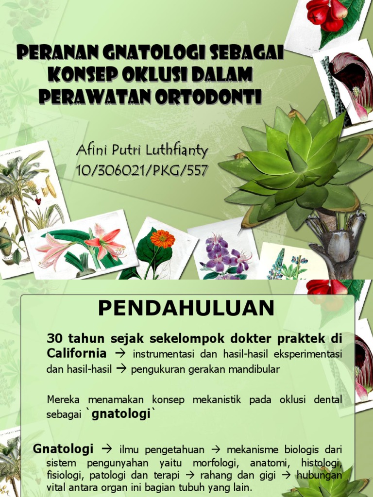Gnatologi dan Terapi Oklusi Ortodonti | PDF