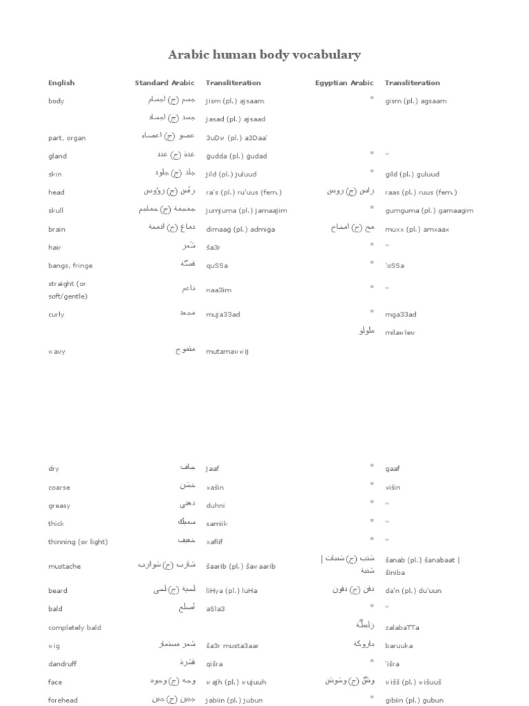 Arabic Human Body Vocabulary | PDF