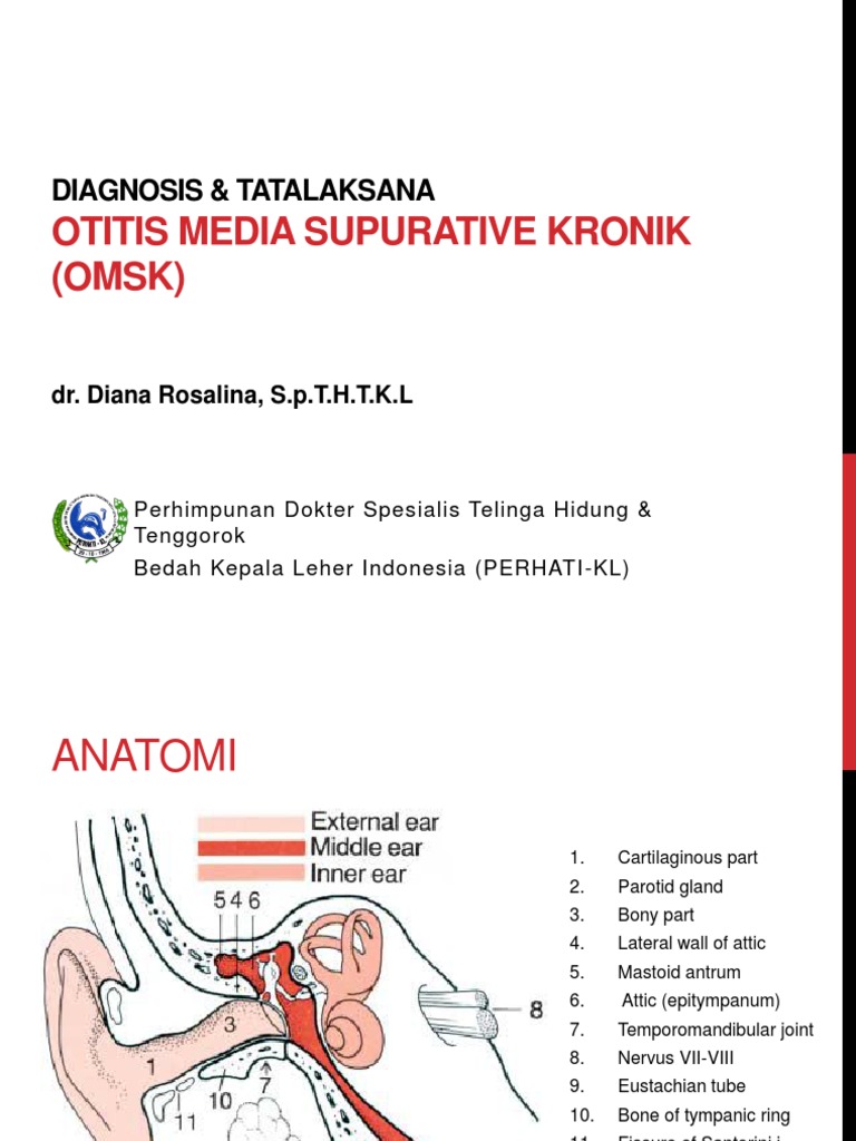 Omsk Du PDF | PDF